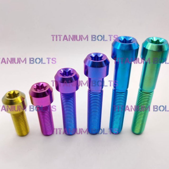 Jual Baut Titanium Pillar M6 Drat 1 Panjang 1 Cm 12 Cm Titanium Bolts GR5 Original | Shopee ...