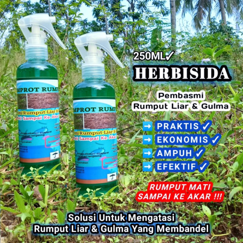 Jual Cairan Pembasmi Rumput Liar & Gulma/Herbisida/Rumput Mati Sampai ...