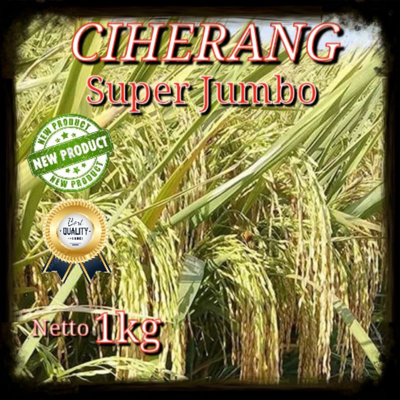 Jual Benih Padi CIHERANG super jumbo kemasan 1kg | Shopee Indonesia