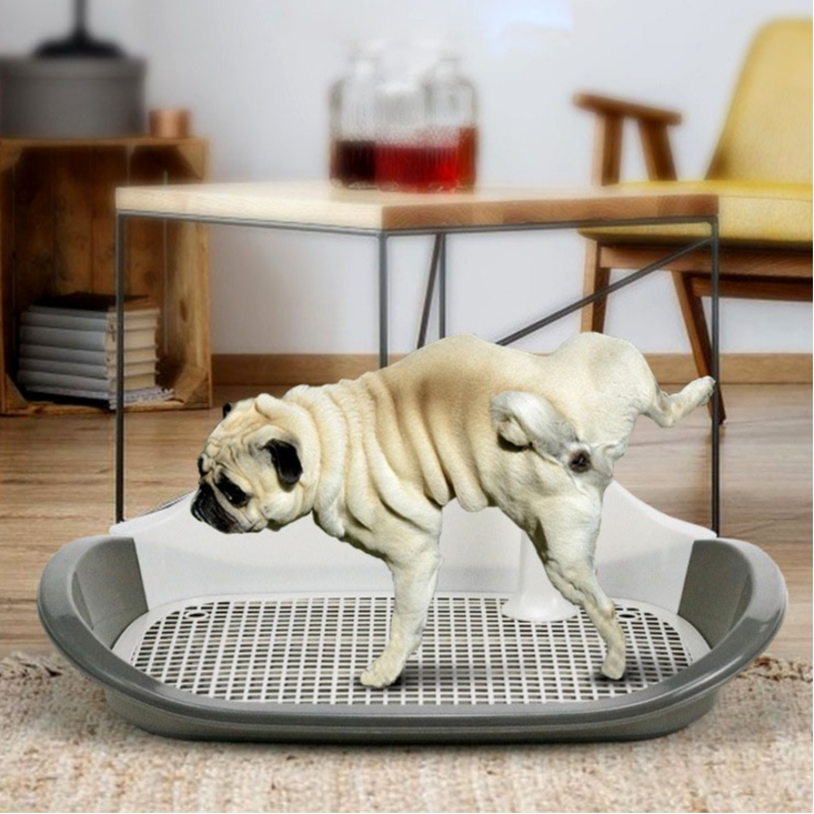 Jual Pee Pad Akasia| Dog Training Potty| Pet Toilet Training Anjing ...