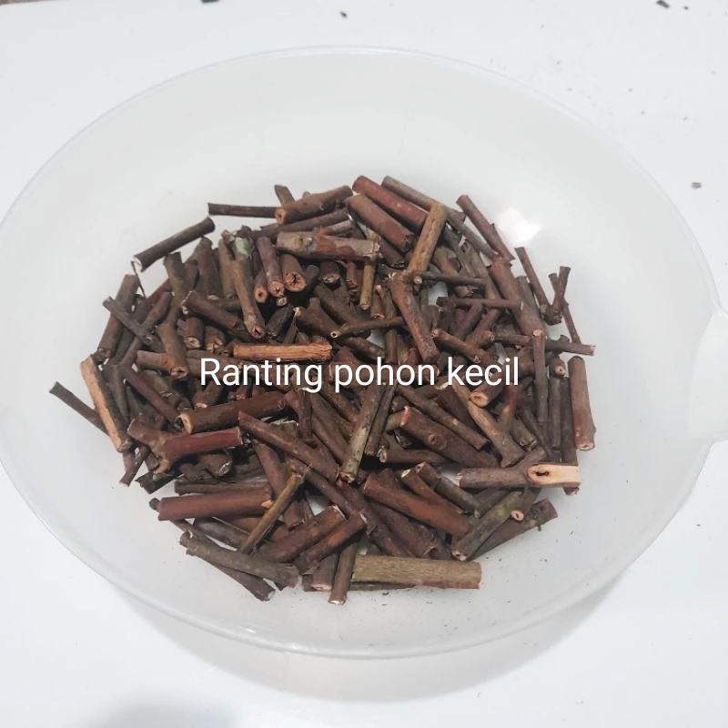 Jual Ranting pohon kecil DIY | Shopee Indonesia