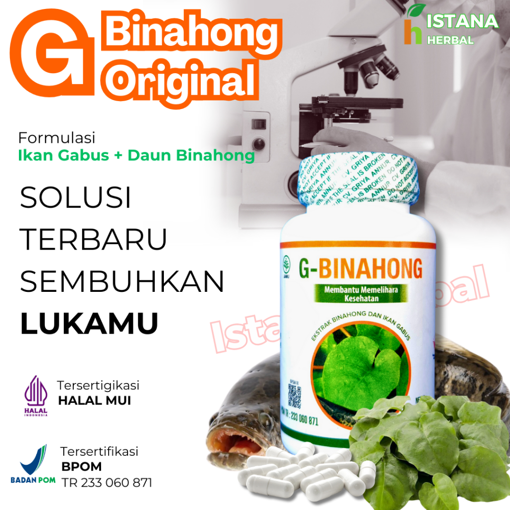 Jual G Binahong Plus Ekstrak Ikan Gabus 50 Kapsul BPOM Original - Gbinahong Kapsul Kutuk Untuk ...