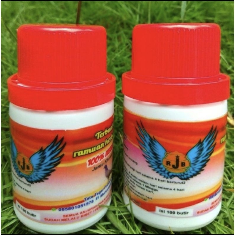 Jual JAMU MERPATI RJB BUAT BIRAHI DAN STAMINA | Shopee Indonesia