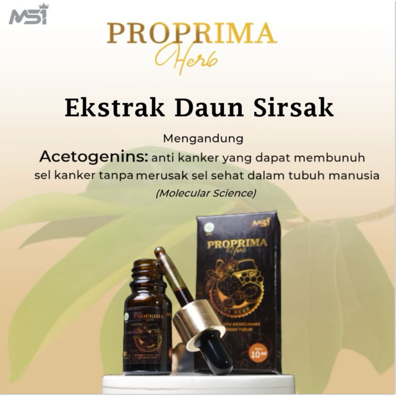 Jual MSI PROPRIMA OBAT TETES HERBAL ALAMI | Shopee Indonesia