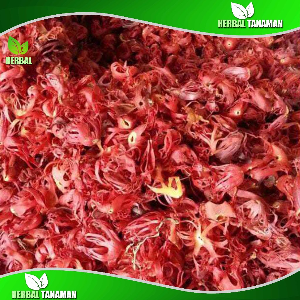 Jual Bunga pala Kering 100 gr - Fuli - Sempra pala Kering | Shopee ...