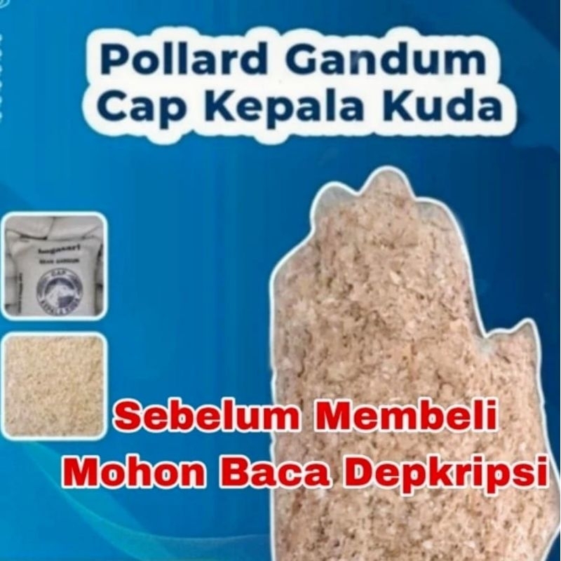 Jual Per 5 Kg Brand Pollard Cap Kepala Kuda Pakan Ternak Kambing. Sapi ...