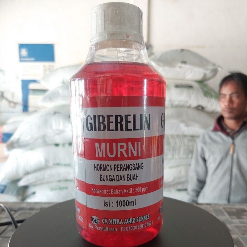 Jual HORMON PERANGSANG BUNGA DAN BUAH GIBERELIN KEMASAN 1 LITER ...