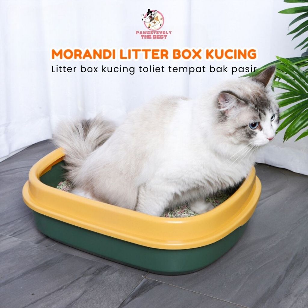 Jual Litter Box MORANDI Untuk Kucing - Litter Box Kucing Gratis Sekop ...