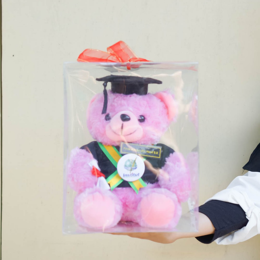 Jual Boneka Wisuda Teddy Bear + Box Mika | Shopee Indonesia