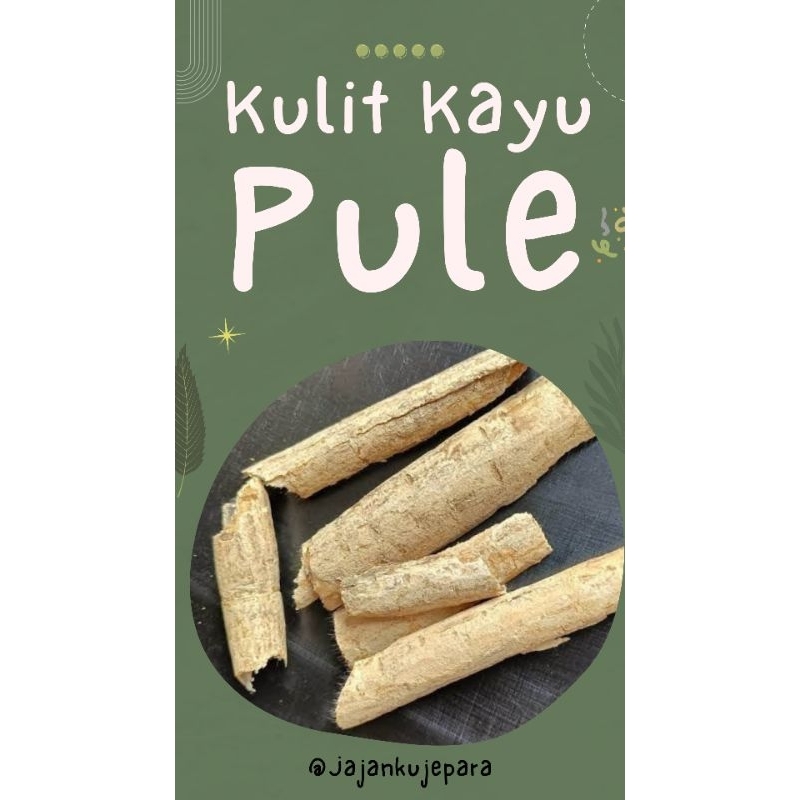 Jual Kulit kayu Pule / kayu gabus / lame / lamo / jelutung 100 gr ...