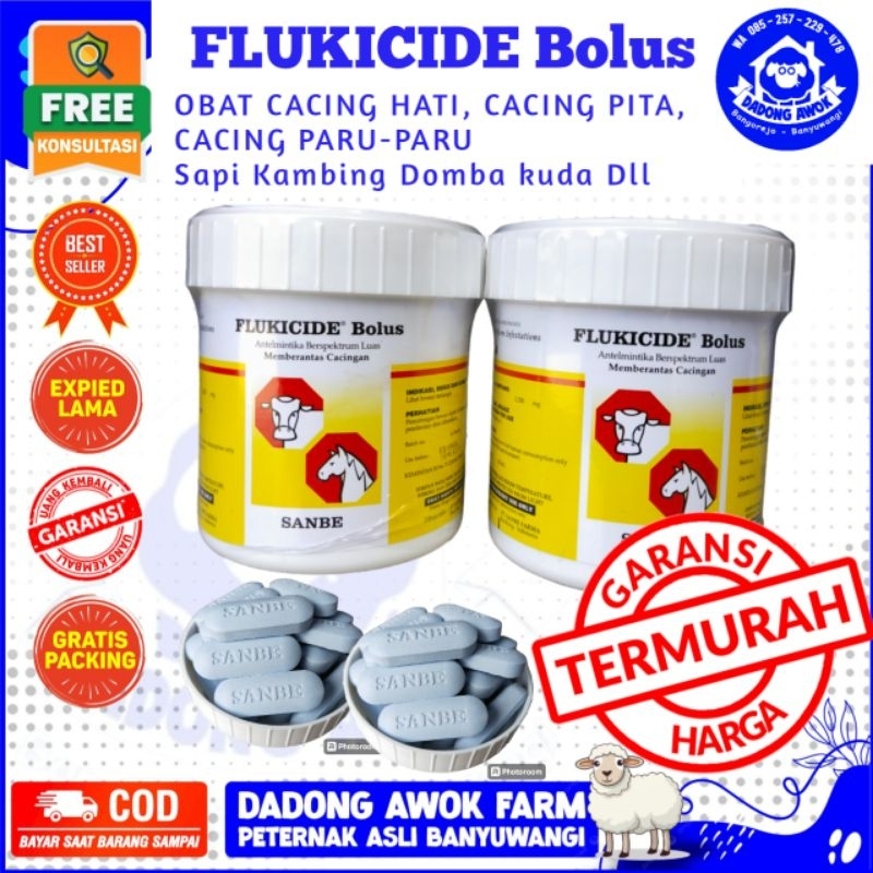 Jual FLUKICIDE 12 BOLUS - FLUKICIDE 42 BOLUS - SANBE OBAT CACING HATI ...