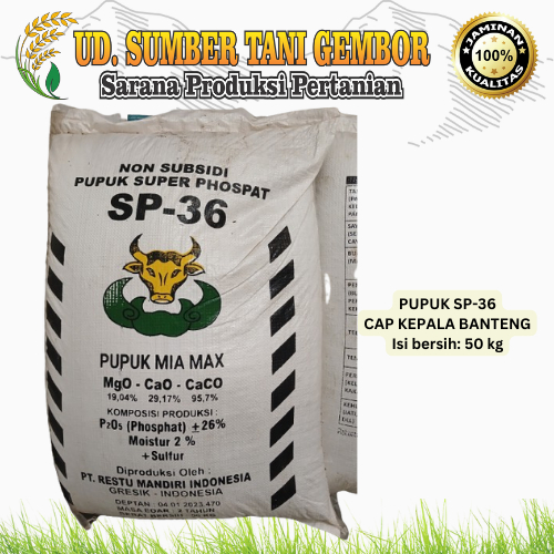 Jual PUPUK SUPER PHOSPAT SP-36 | Shopee Indonesia