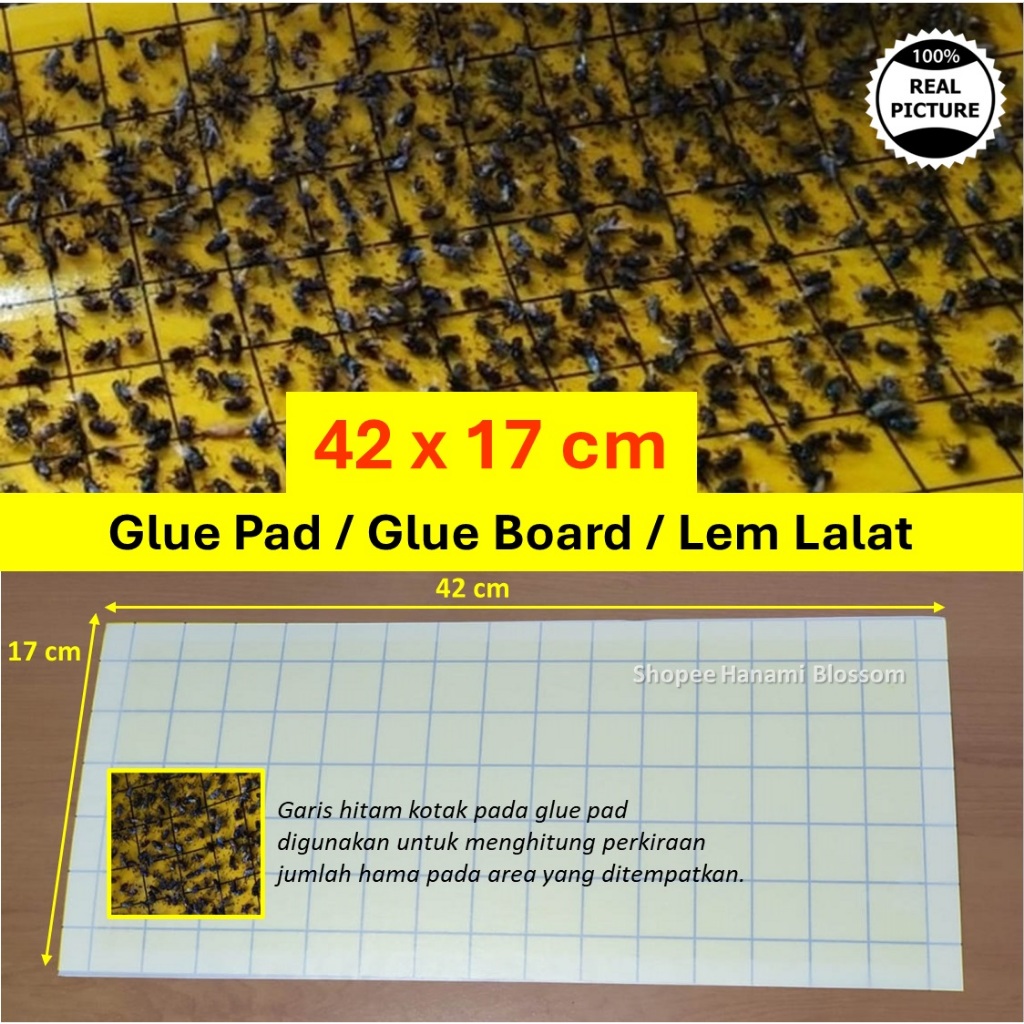 Jual Glue Pad Lem Lalat 42x17 cm Tebal dan Lengket Refill Fly Catcher ...