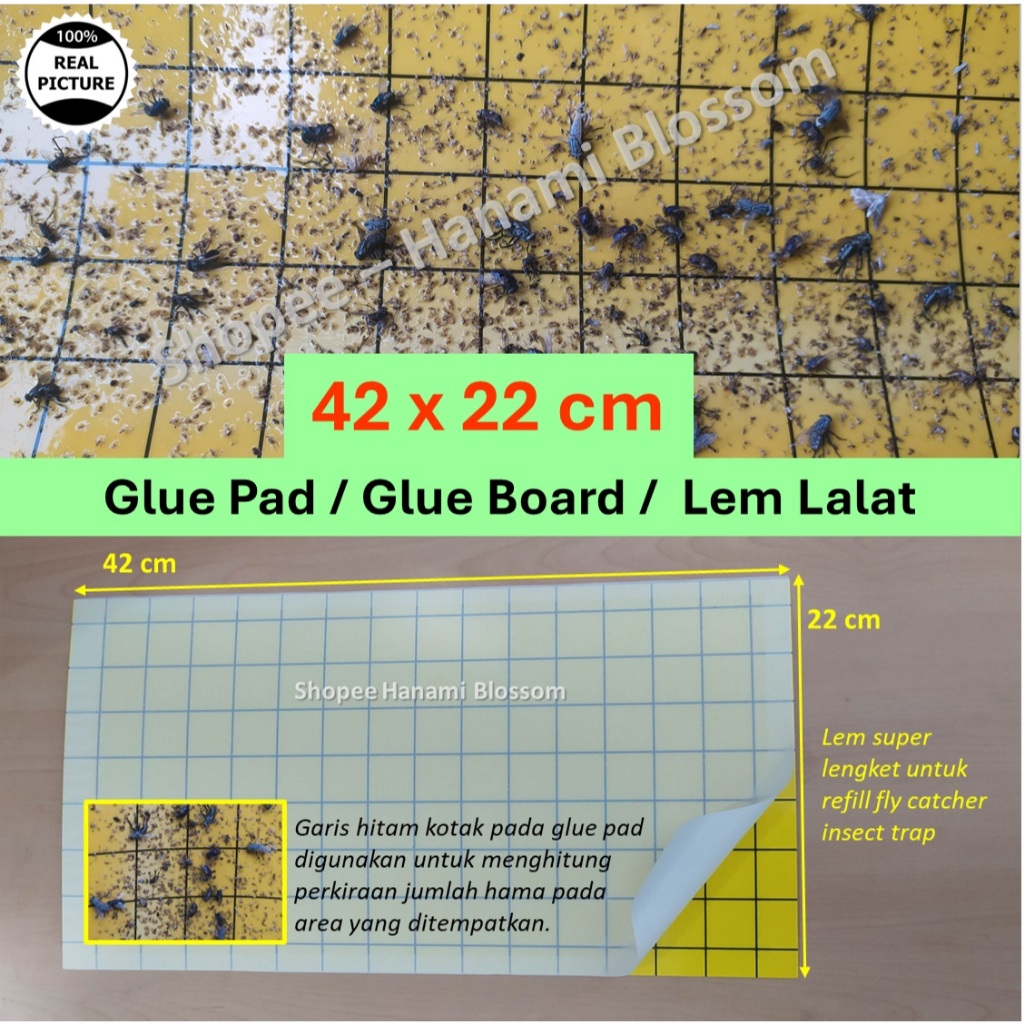 Jual Glue Pad Glue Board Lem Lalat 42x22 cm Tebal dan Lengket Refill ...