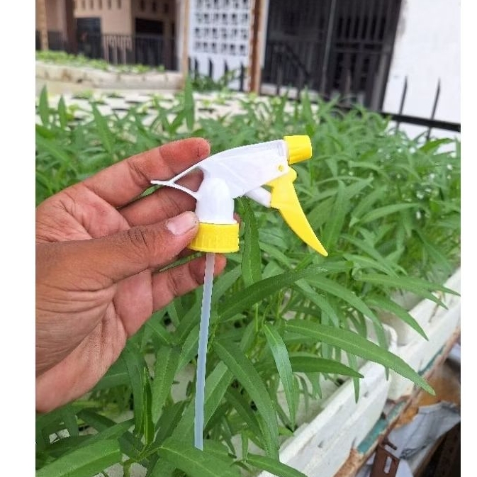 Jual Kepala Sprayer Jet Spray Botol Semprotan Manual Tanaman Burung dan ...