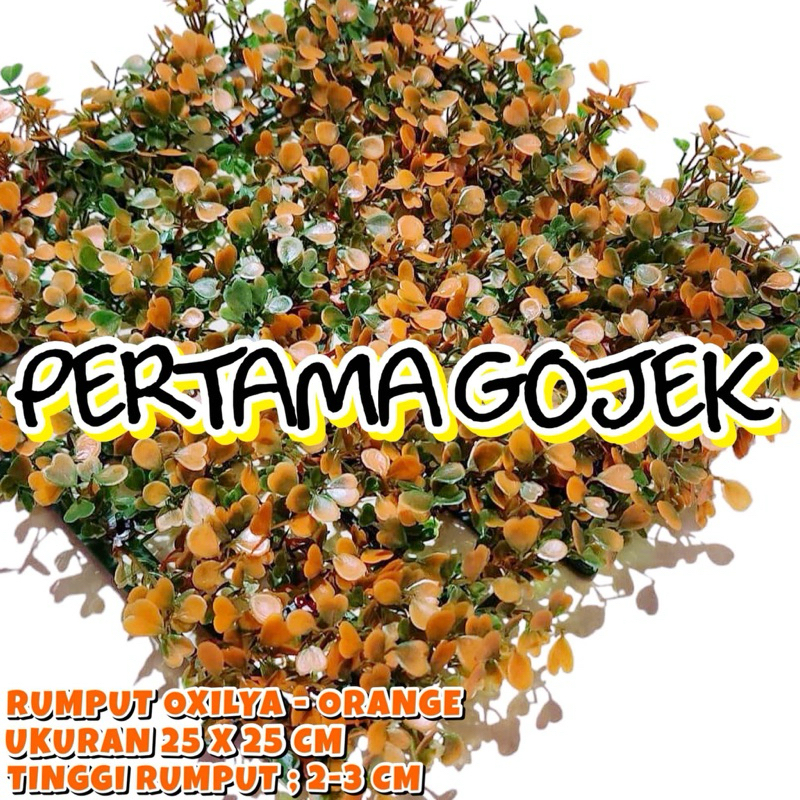 Jual Rumput OXILYA WARNA Ukuran 25X25 Cm/ Rumput Dekorasi/ Tanaman ...