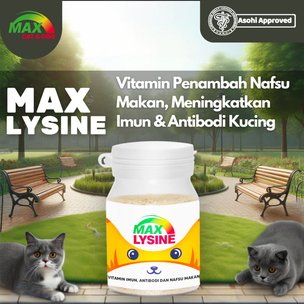 Jual Max Lysine Vitamin Kesehatan Kucing Max Lysine Untuk Imunitas dan ...