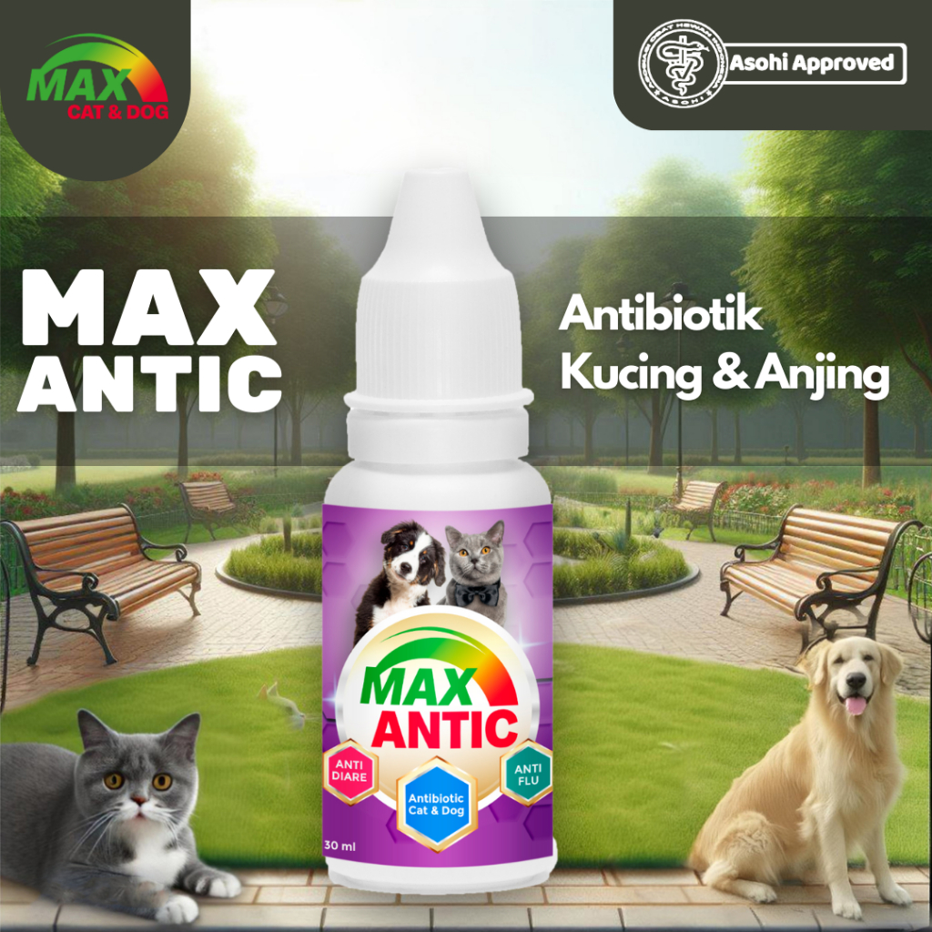 Jual Max Antic | Obat Antibiotik Untuk Kucing dan Anjing Diare Flu ...