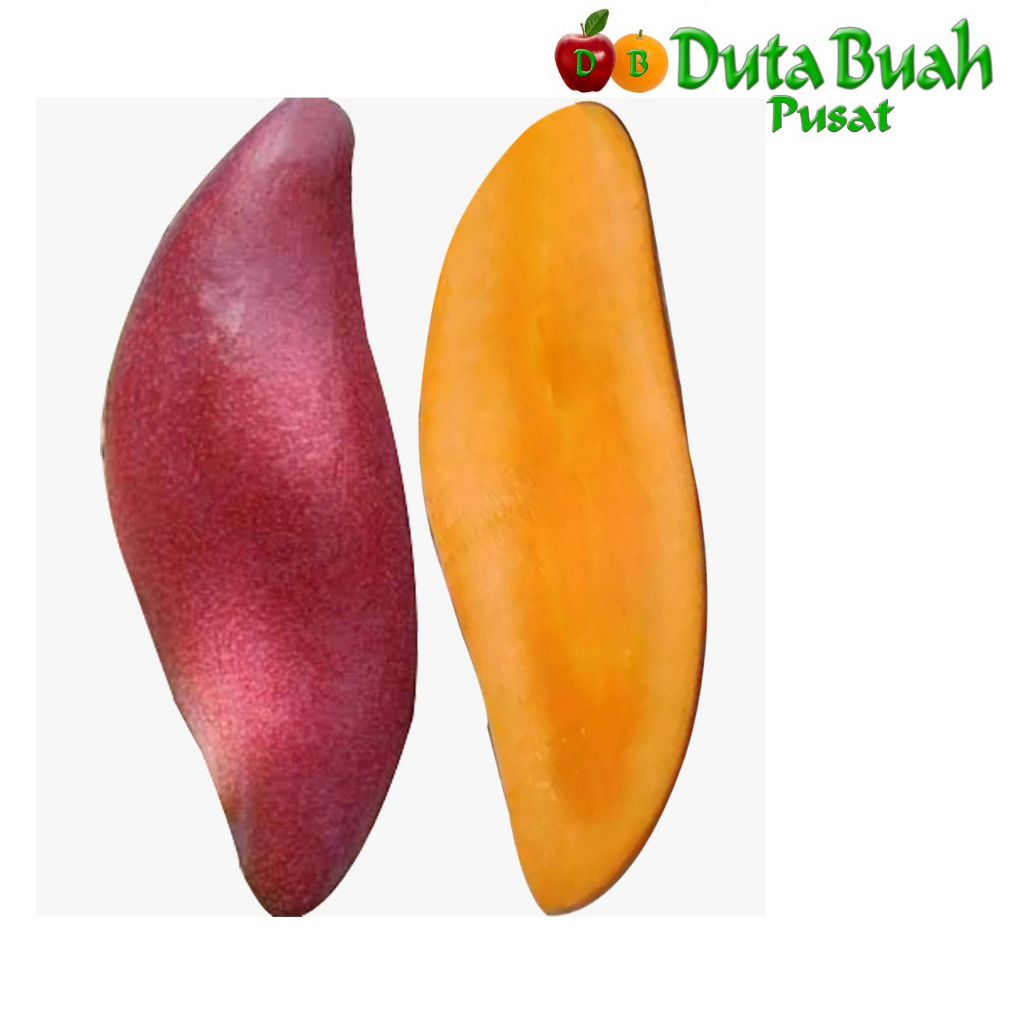 Jual Duta Buah Mengo Red Kimleng Thailand (+-800g) | Shopee Indonesia