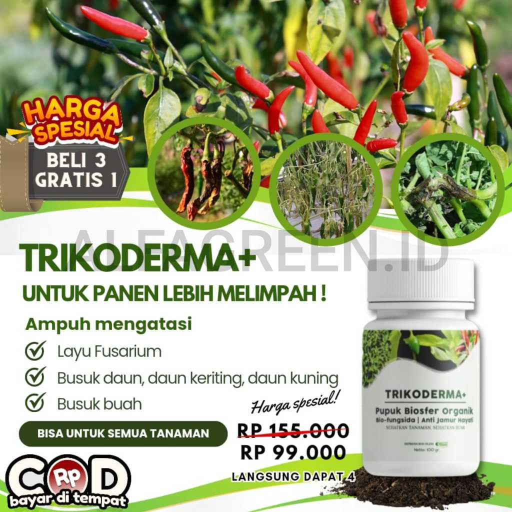 Jual TRIKODERMA BELI 3 GRATIS ALFAGREEN-Bio-Fungisida Tricoderma Plus ...