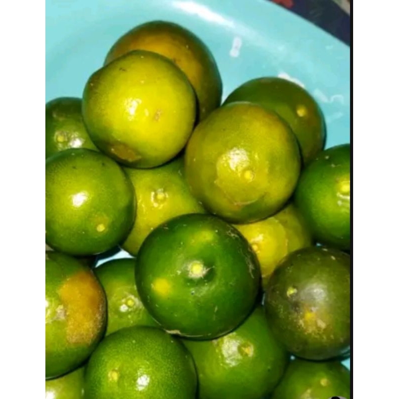 Jual Fresh Jeruk Peras asli Madiun berat 1kg | Shopee Indonesia