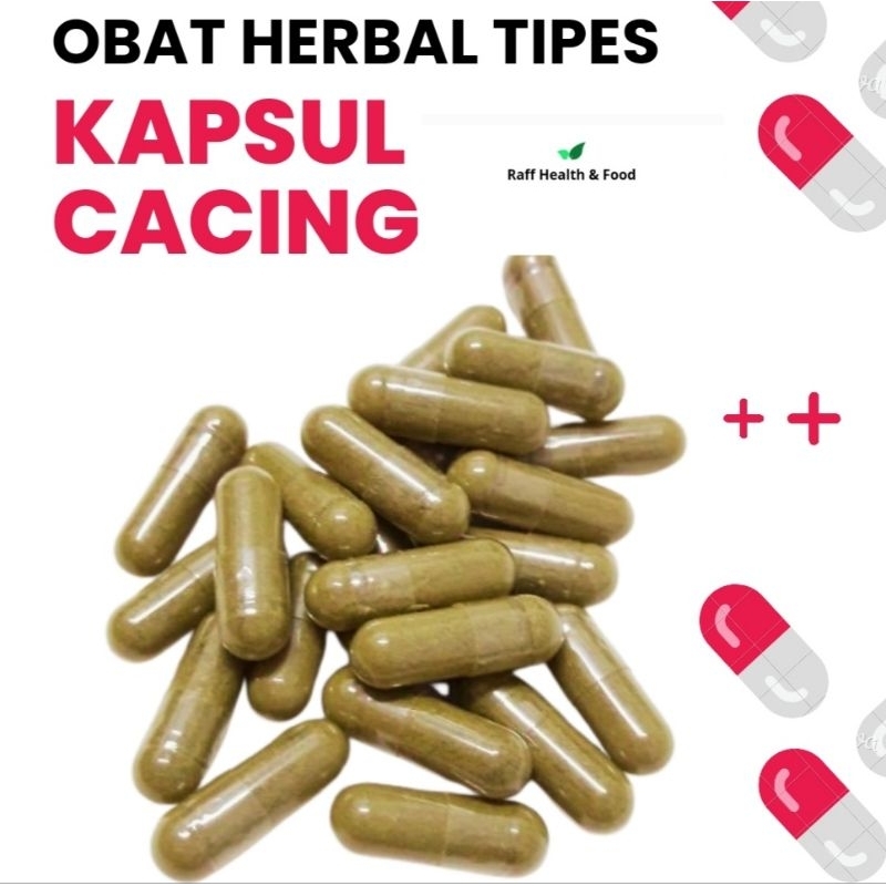 Jual Kapsul Cacing Untuk Obat Tipes per pcs Original Lumbricus Rubellus ...