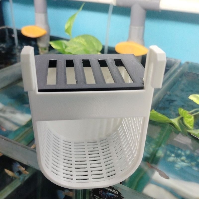 Jual Box Breeding ikan Guppy | Shopee Indonesia