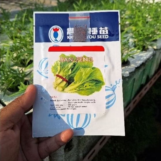 Jual Benih / Bibit Sayur Samhong / Sam Hong / San Feng Known You Seed ...