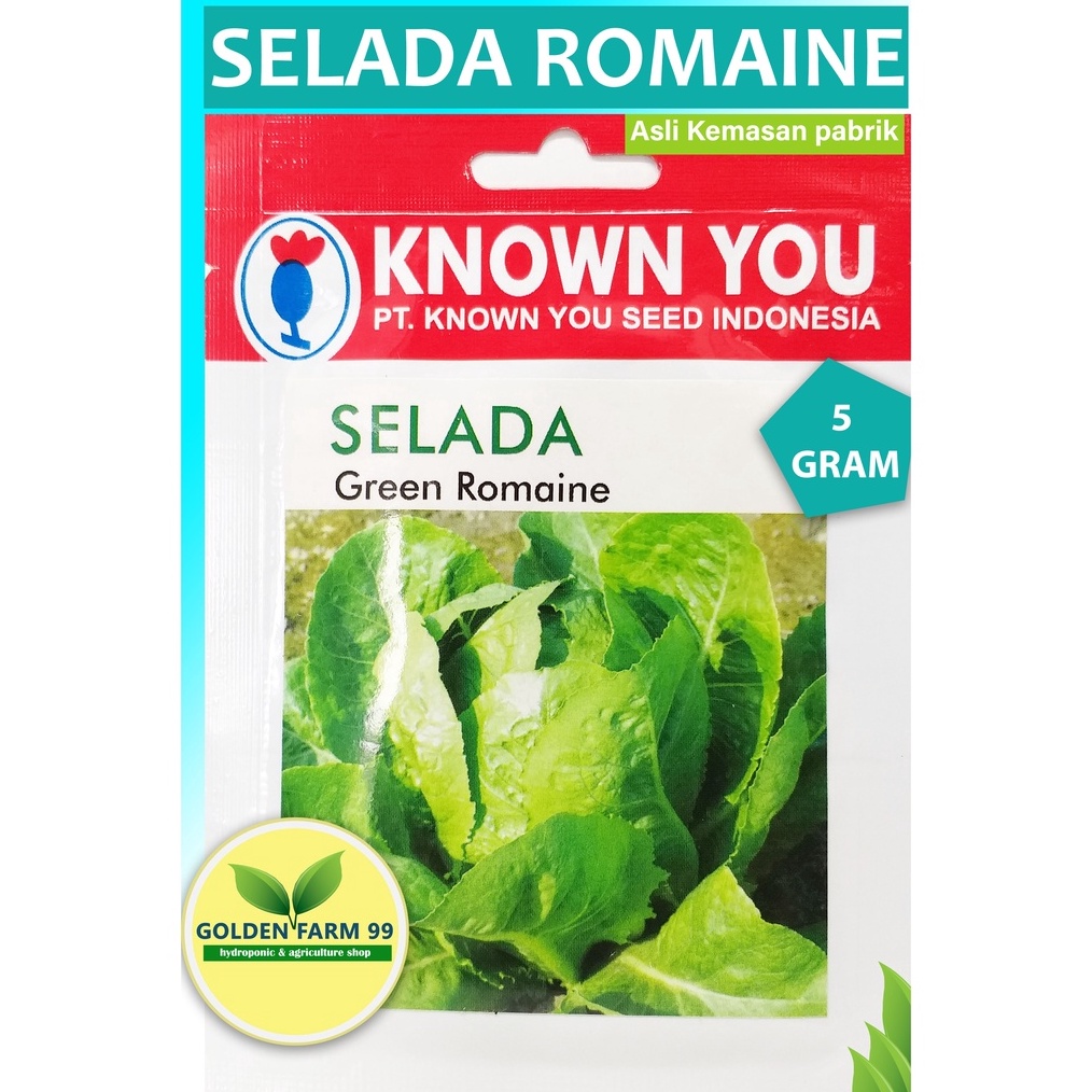 Jual GEBYAR PROMO Benih bibit SELADA GREEN ROMAINE Original packing harga murah | Shopee Indonesia