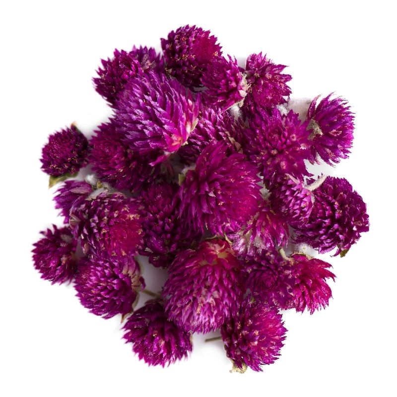 Jual Bunga Globe Amaranth Kering isi 25 Gram | Shopee Indonesia