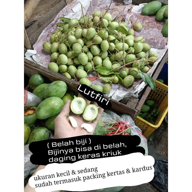 Jual Mangga telor / keong fresh belah biji 1kg ukuran kecil & sedang ...