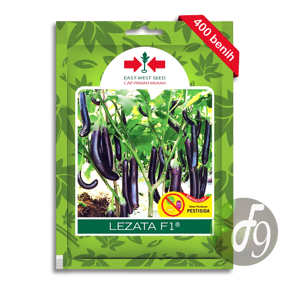 Jual benih terong ungu panjang F1 Lezata Panah Merah 400 butir | Shopee Indonesia