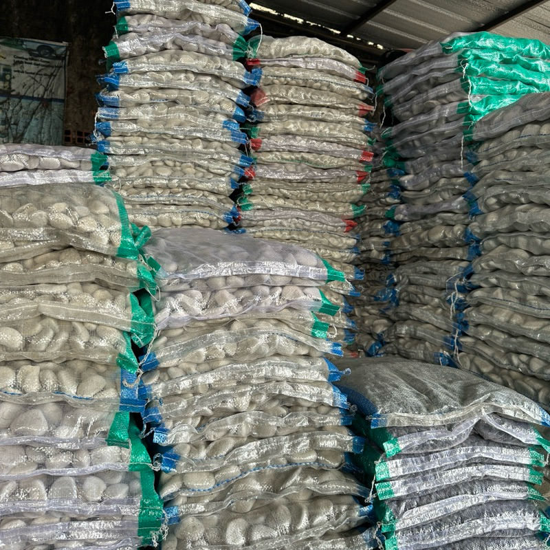 Jual BATU KORAL ASLI DARI KUPANG / BATU HIASAN / TAMAN / KOLAM - BATU ...