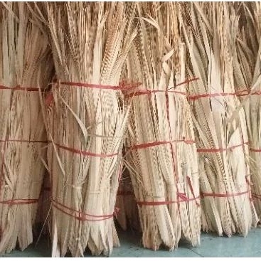 Jual DAUN SIWALAN PUPUS LONTAR (MUDA) 1 PUCUK FULL UTUH KERING | Shopee ...