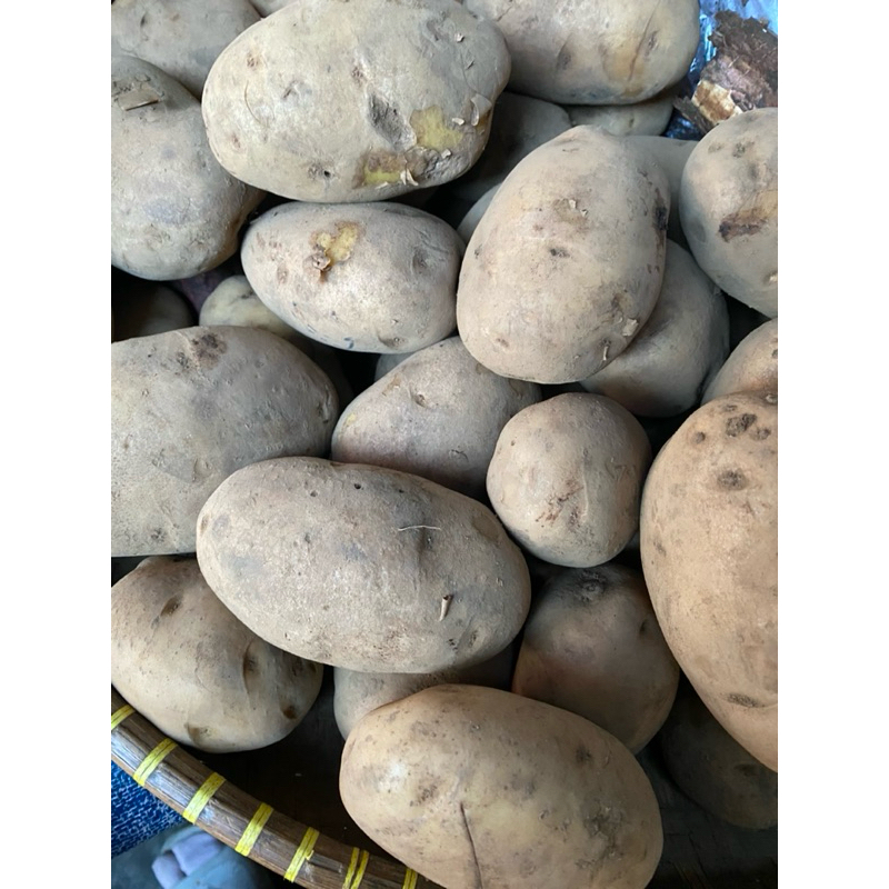 Jual kentang dieng / kentang kupas / kentang rendang / kentang mini ...