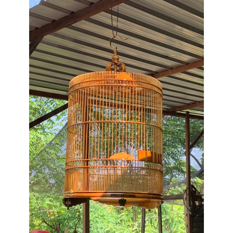 Jual sangkar murai jati tebok ceper | Shopee Indonesia
