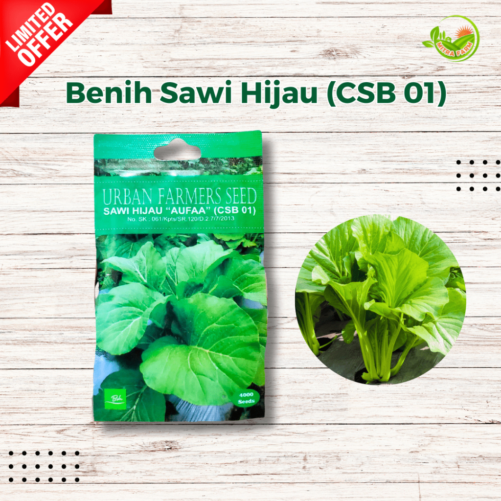 Jual Benih Sawi Hijau Urban Farmer Seeds/Benih Sawi Hijau Aufaa CSB 01 ...