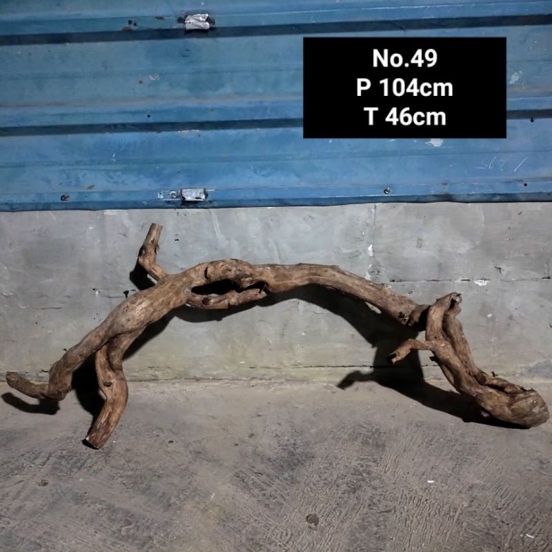 Jual akar kayu santigi laut akar aquascape aquarium 49 | Shopee Indonesia