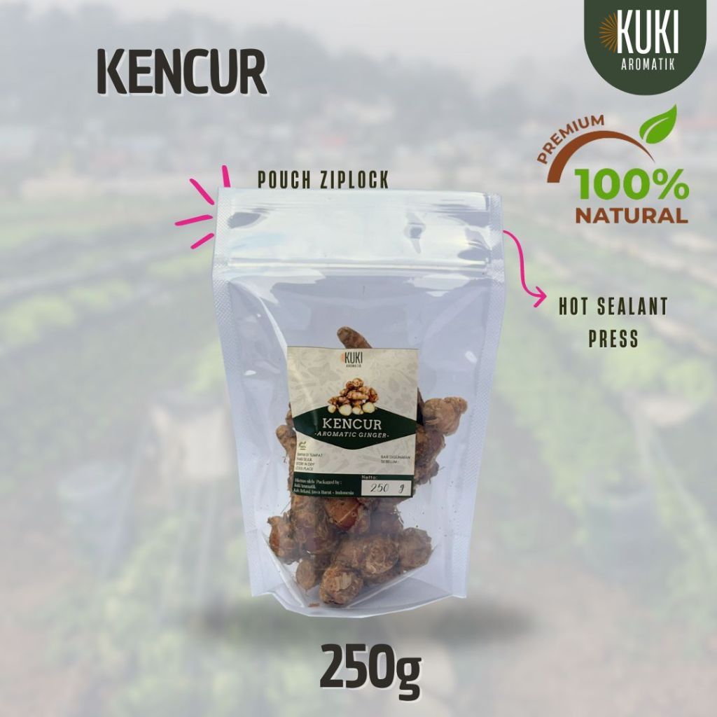 Jual Kencur Segar Bumbu Dapur 100% Natural (250 gram) | Shopee Indonesia