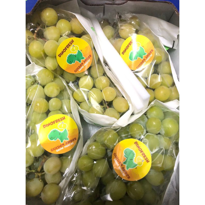 Jual Anggur Golden Muscat China dinofresh jumbo /kg / Kg | Shopee Indonesia
