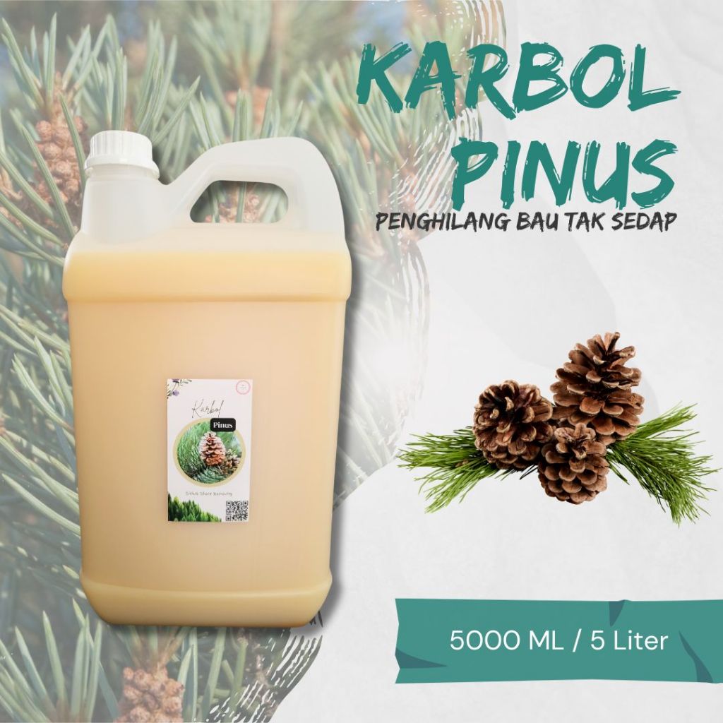 Jual Karbol Pinus Sirius Berkualitas Bandung 5 Liter | Shopee Indonesia
