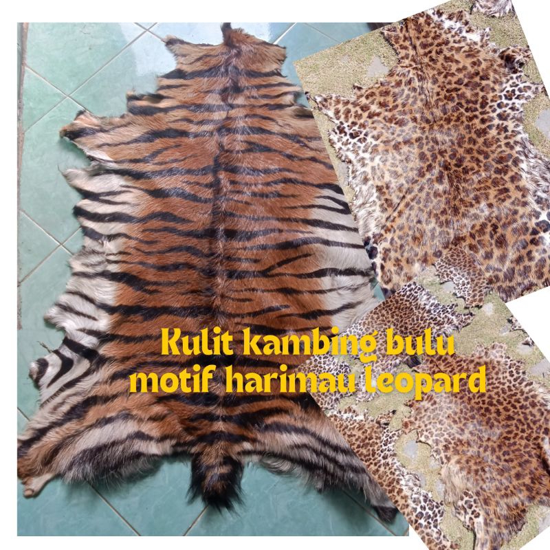 Jual Kulit kambing bulu motif macan leopard cheetah harimau kulit ...