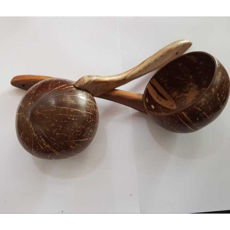 Jual GAYUNG BATOK KELAPA - SIWUR BATOK KELAPA UKURAN JUMBO | Shopee ...