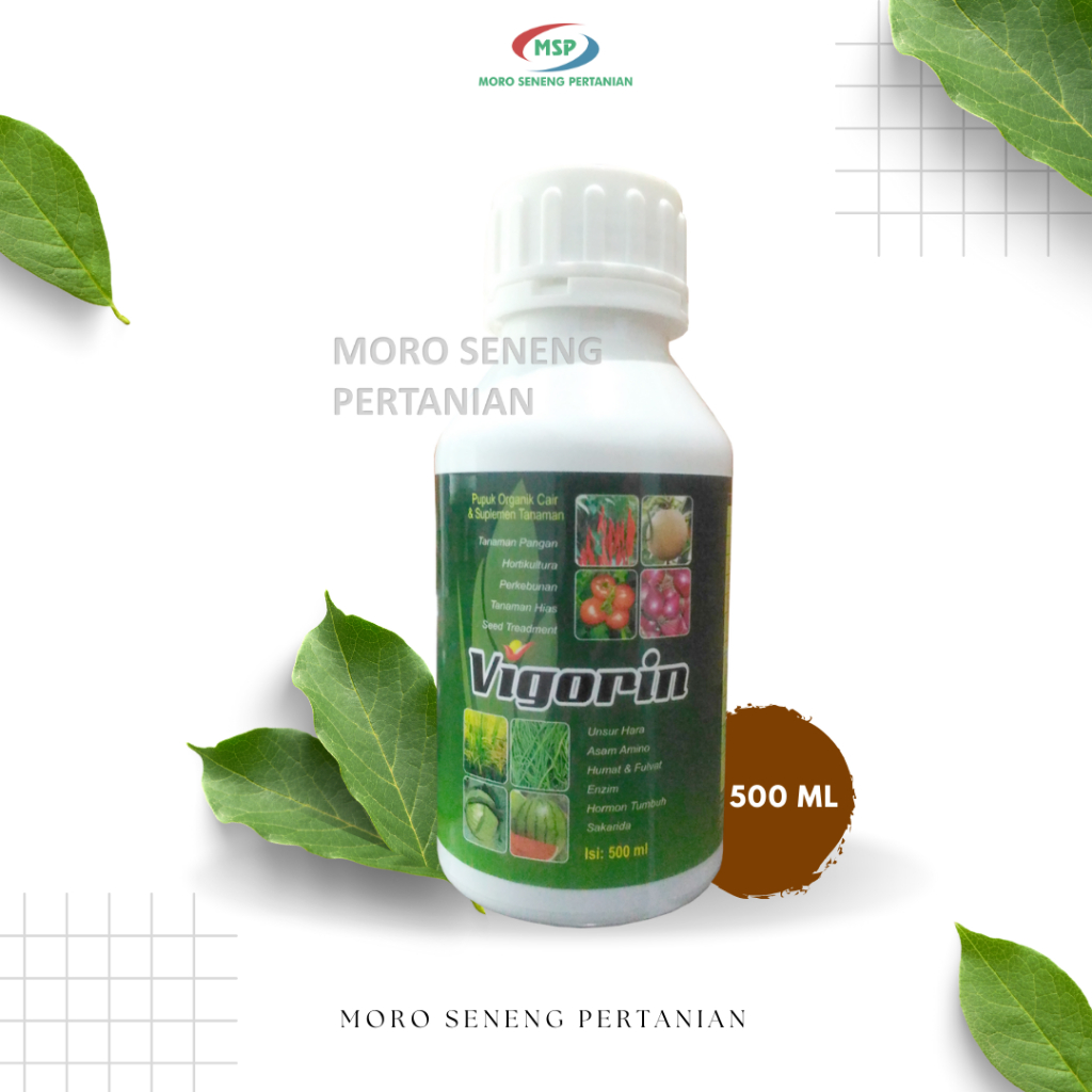Jual VIGORIN 500 ML | Shopee Indonesia