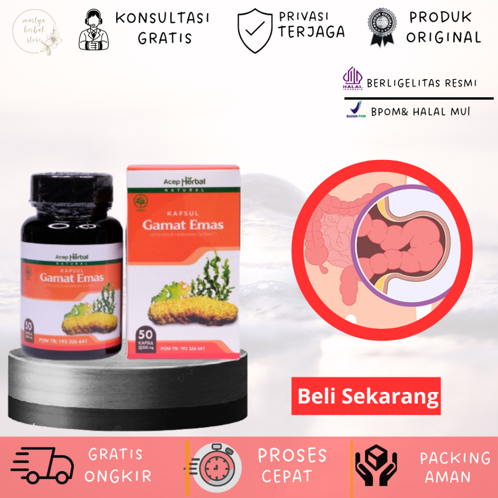 Jual Obat Herbal Hernia Obat Turun Berok Obat Buah Zakar Bengkak Obat ...
