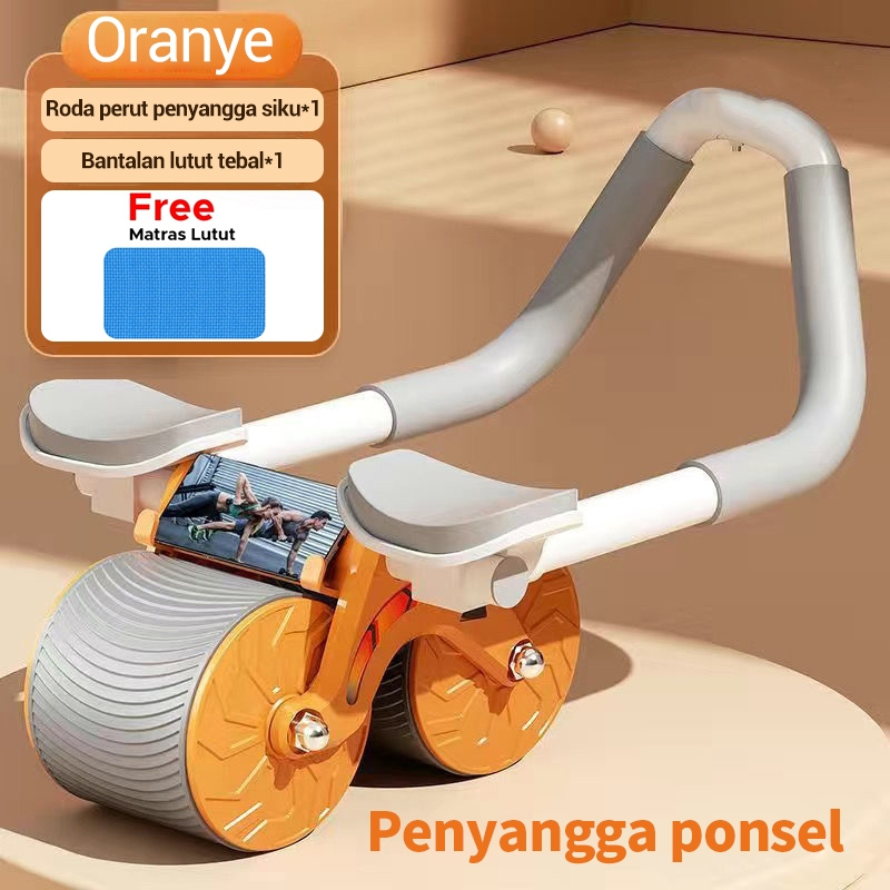 Jual Roda fitnes perut rumah tangga multifungsi 2in1 Ab Roller Wheels ...