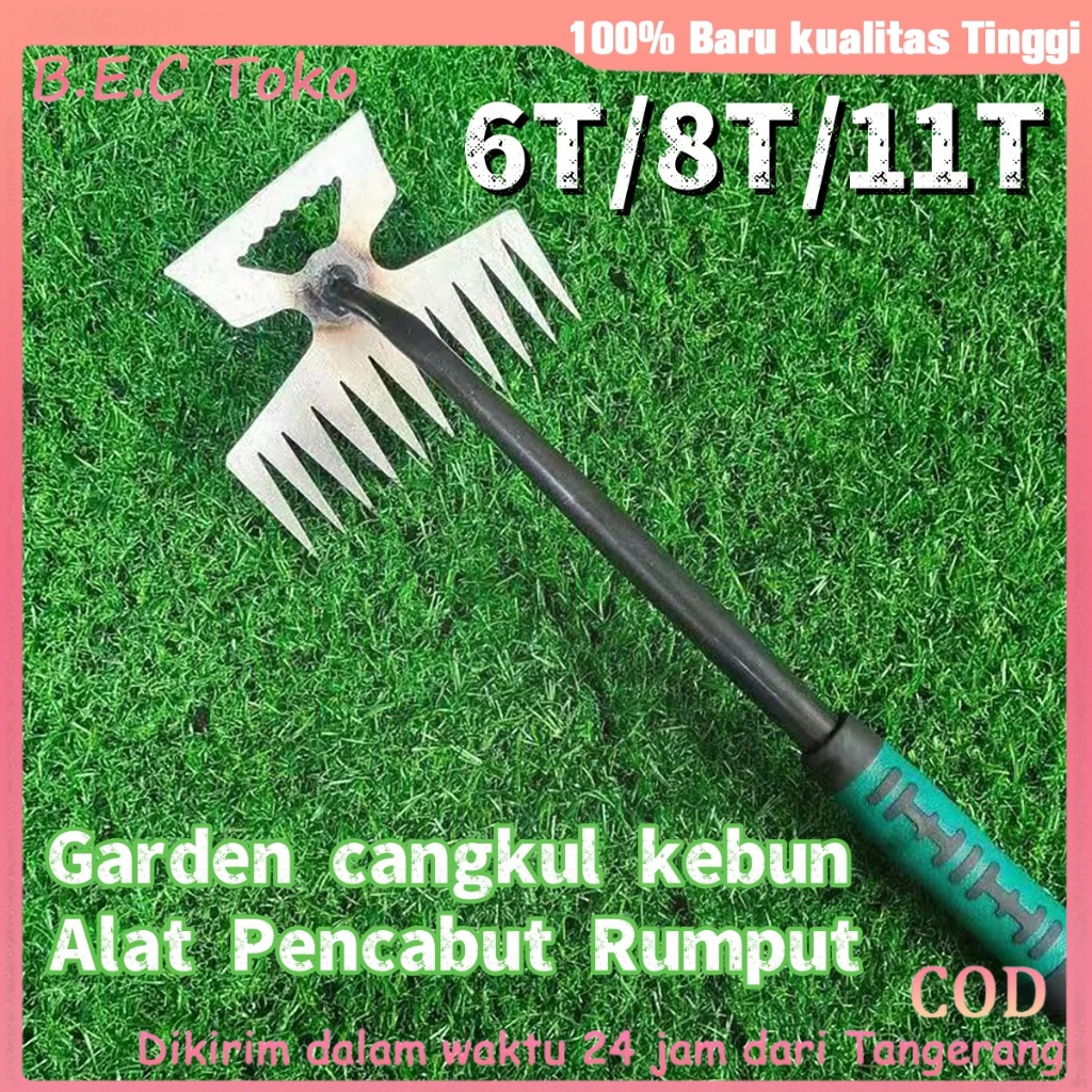 Jual 6/8/11T Alat Pencabut Mencabut Rumput Liar Di Halaman Rumah/Untuk ...