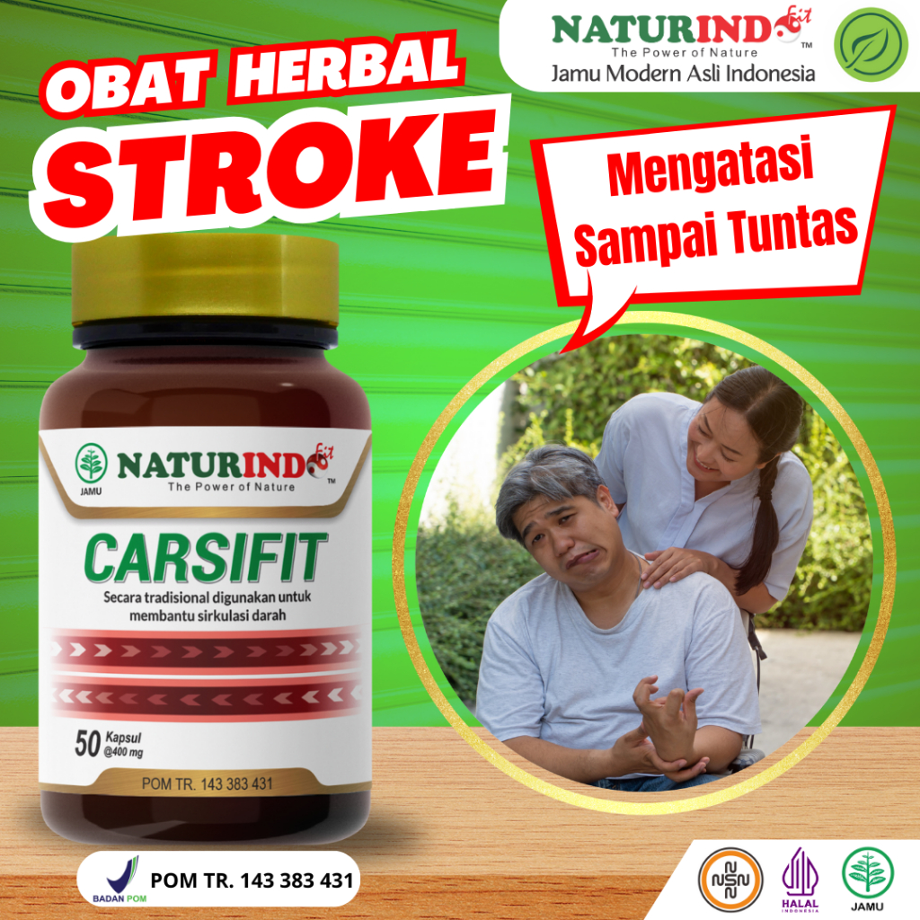 Jual Obat Herbal Carsifit Obat stroke ringan berat mati sebelah gejala ...
