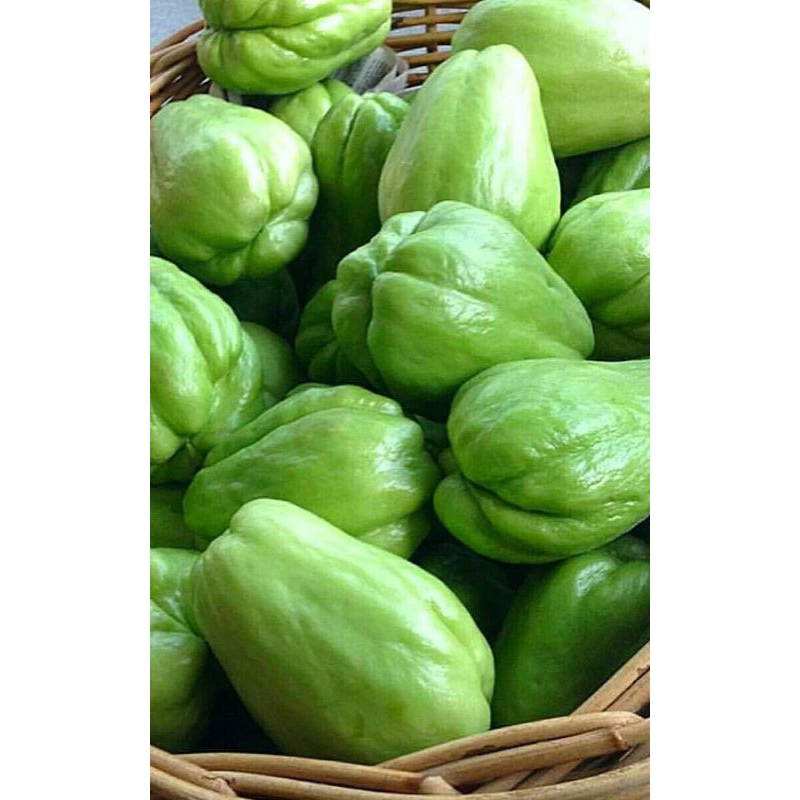 Jual Labu Siam Acar/Lalapan Sayur 2kg | Shopee Indonesia