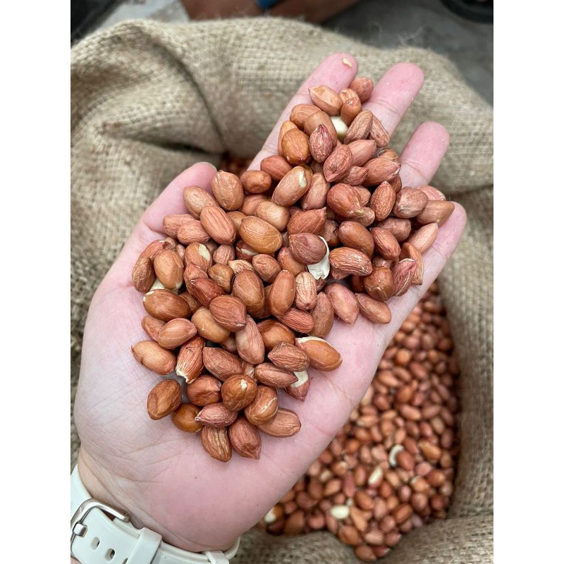 Jual Kacang Tanah India Mentah 500gram 1KG Kualitas Import Premium ...